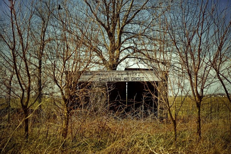 We Are All Alice B. Toklas - James Reich - Sensitive Skin Magazine